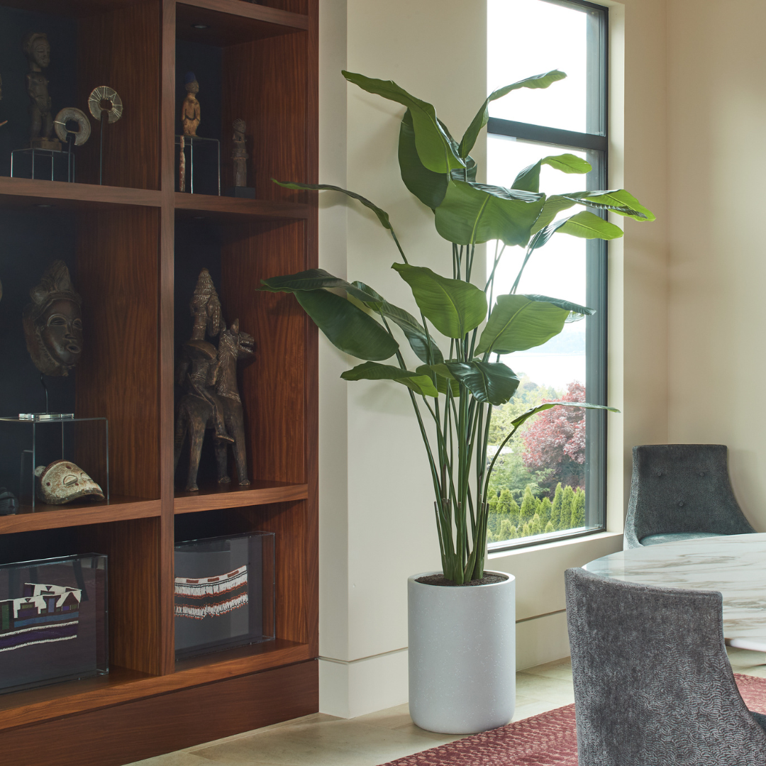 8' Bird of Paradise Tree in Modern Gray Planter | CG Hunter