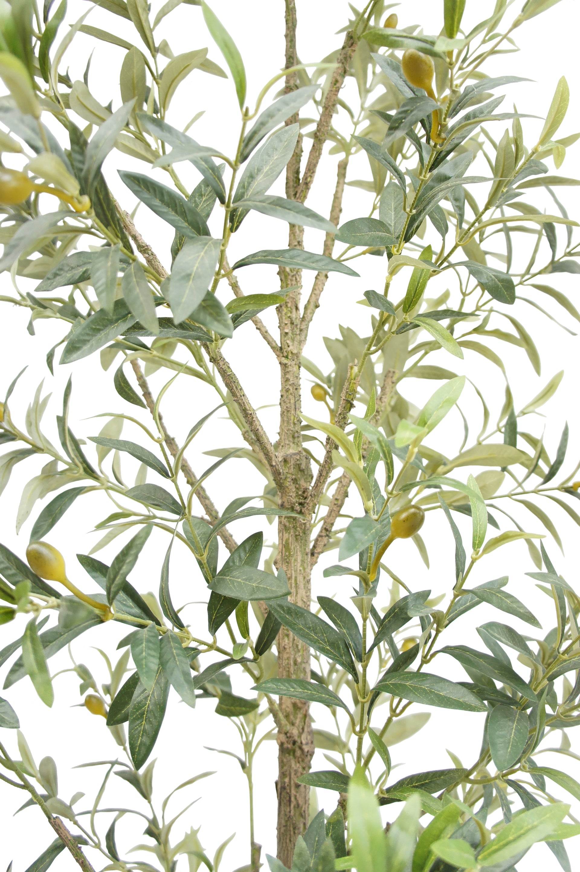 7' Artificial Slim Olive Tree | CG Hunter