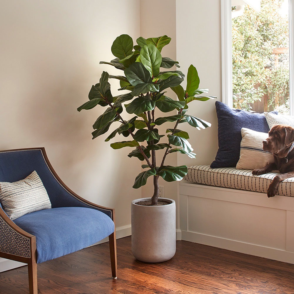 Faux Fiddle Leaf Fig Tree w/artisan pot| CG Hunter |Luxury Faux Plants