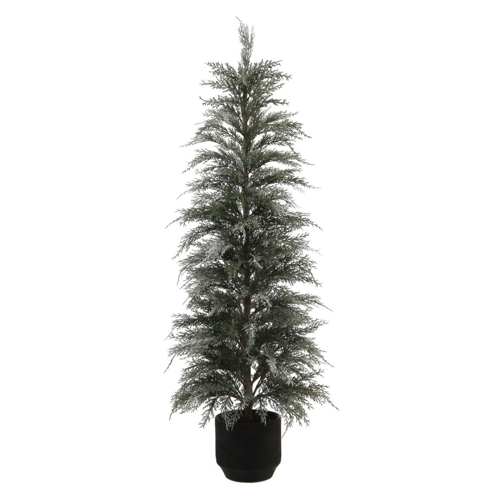 4' Cedar Tree – Lifelike Evergreen Accent – CG Hunter