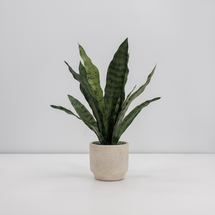 16" Faux Snake Plant & Fern Set | CG Hunter
