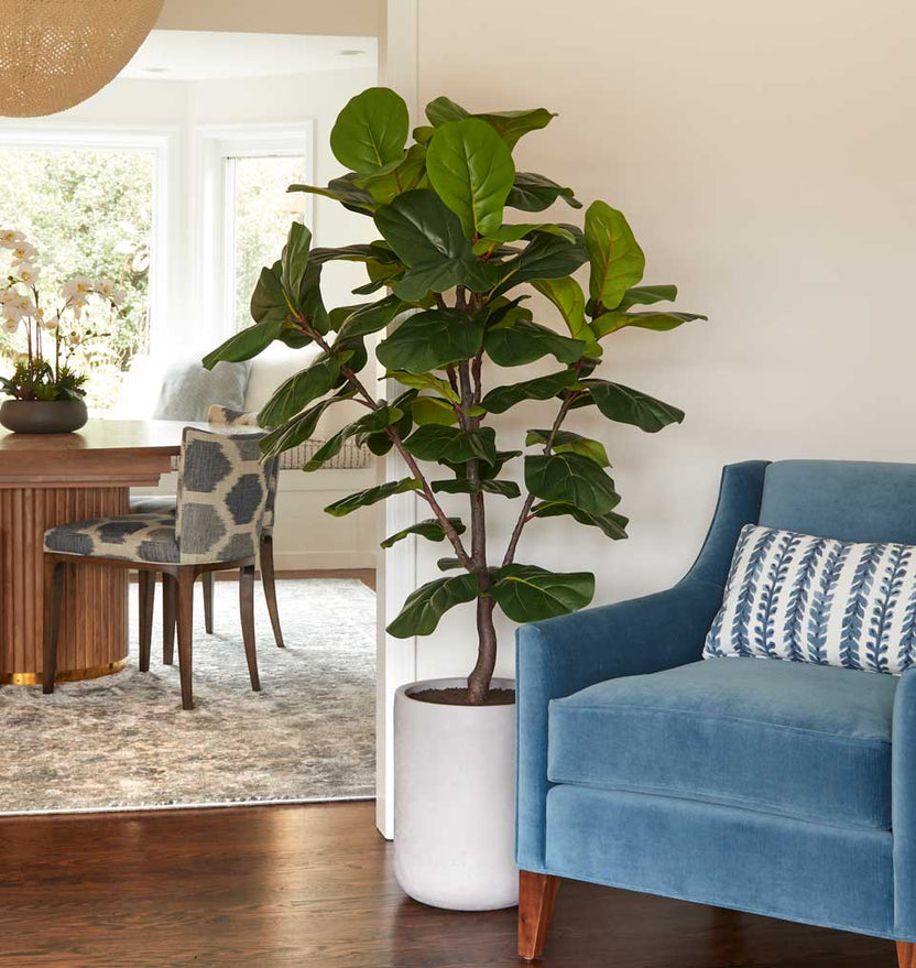 Artificial Fiddle Leaf Fig Tree with Artisan Planter | CG Hunter