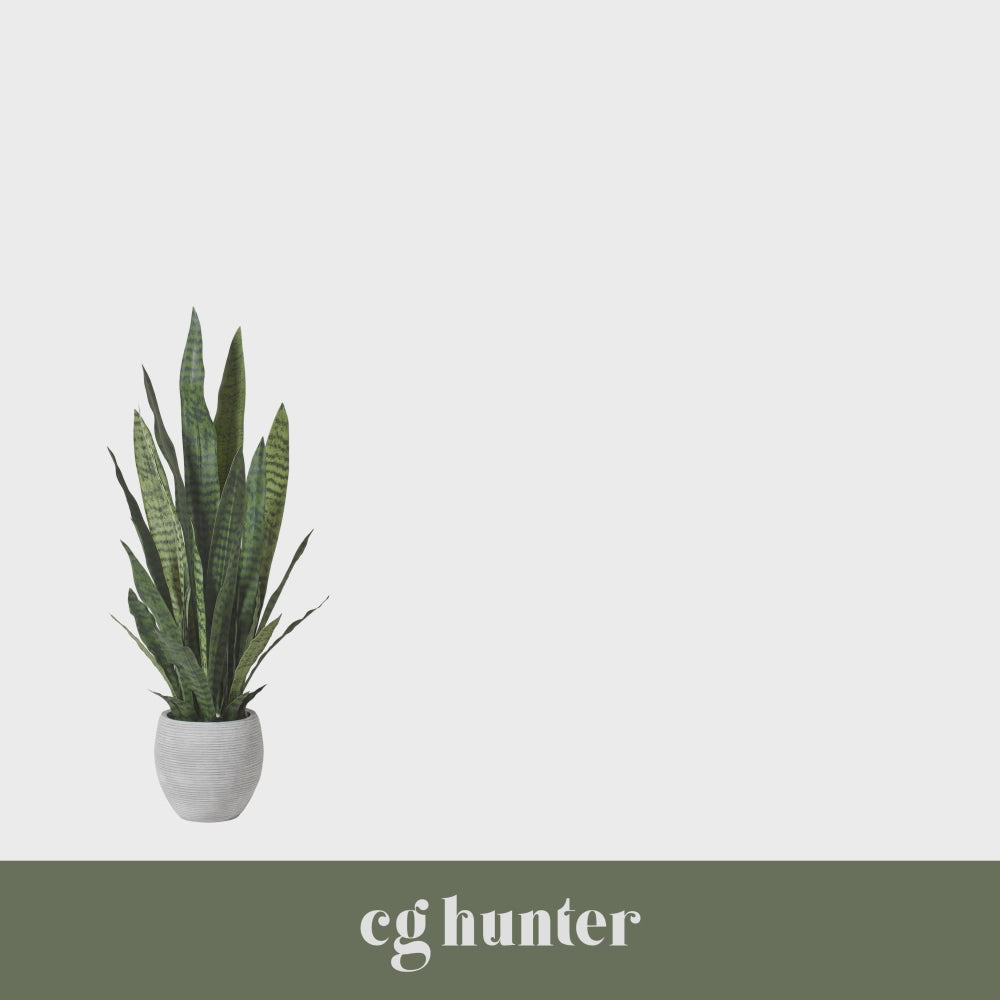 Artificial Snake Plant with Artisan Planter | CG Hunter